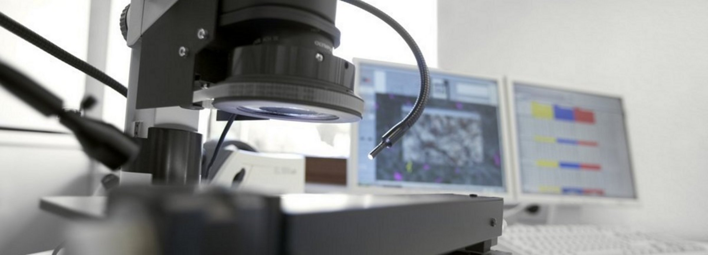 CleanControlling: CleanControlling North America | microscopic particle ...